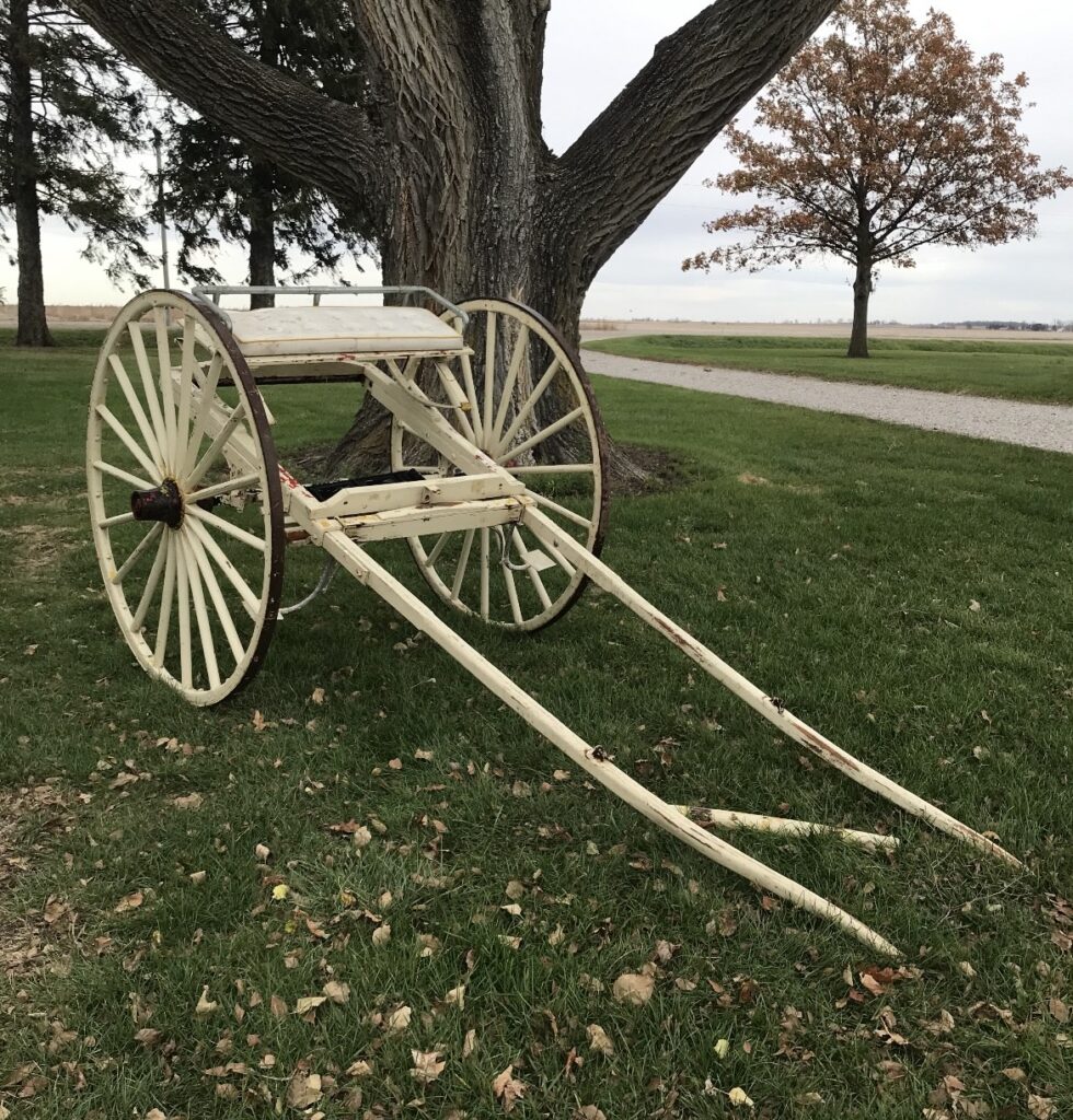 Draft Horses, Carriages & Antiques | Kalona Sales Barn