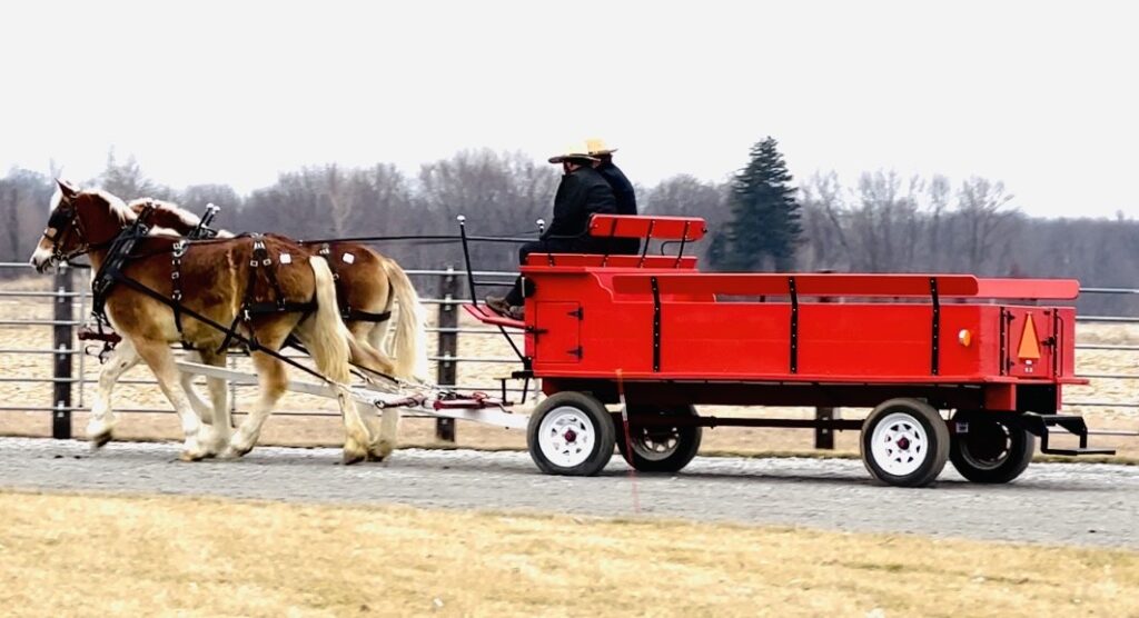 Draft Horses, Carriages & Antiques | Kalona Sales Barn