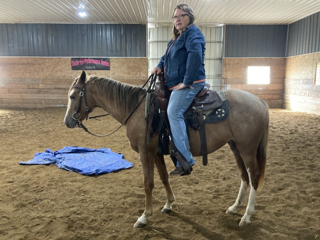 Horses & Tack | Kalona Sales Barn