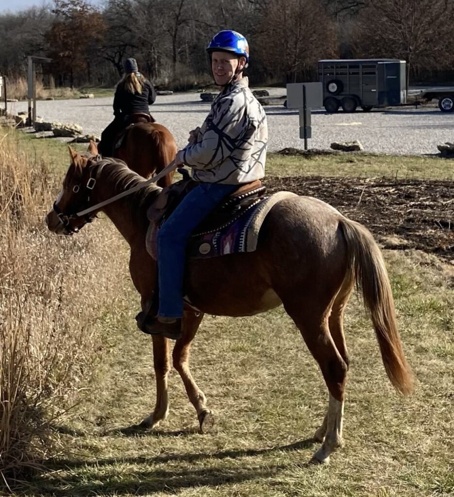 Horses & Tack | Kalona Sales Barn